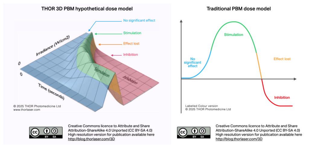 THOR 3D PBM hypothetical dose model | THOR Photobiomodulation Therapy ...